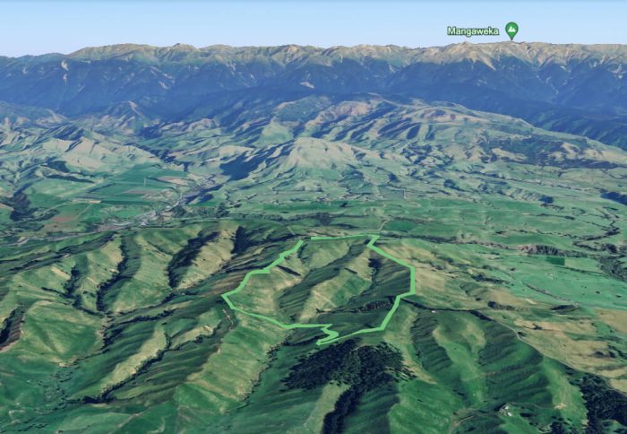 Blackburn Ridge | E-Bikes & Walks