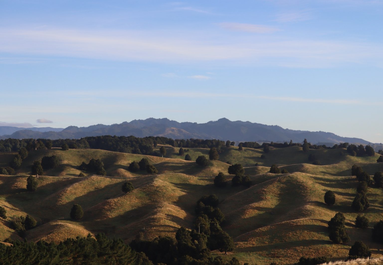 Blackburn Ridge | Gallery